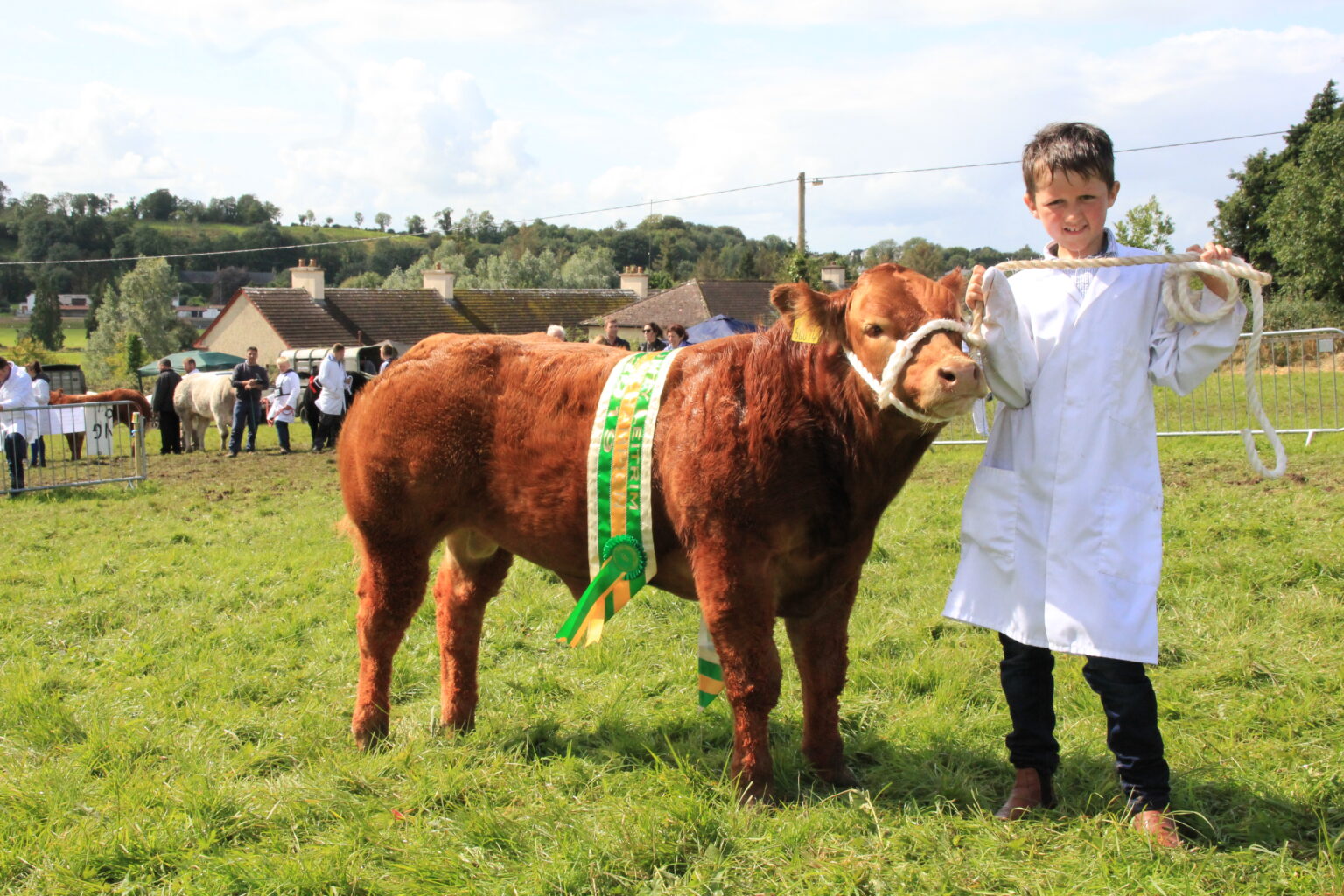 Mohill Photo Gallery - Mohill.ie